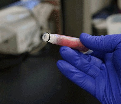 Protocol SP1 - Page 5